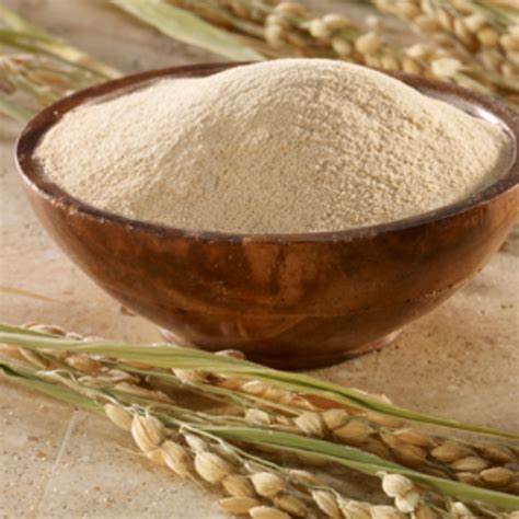 Rice Bran Refined Carrier Oil - Oryza sativa – Mantra Aromatherapy